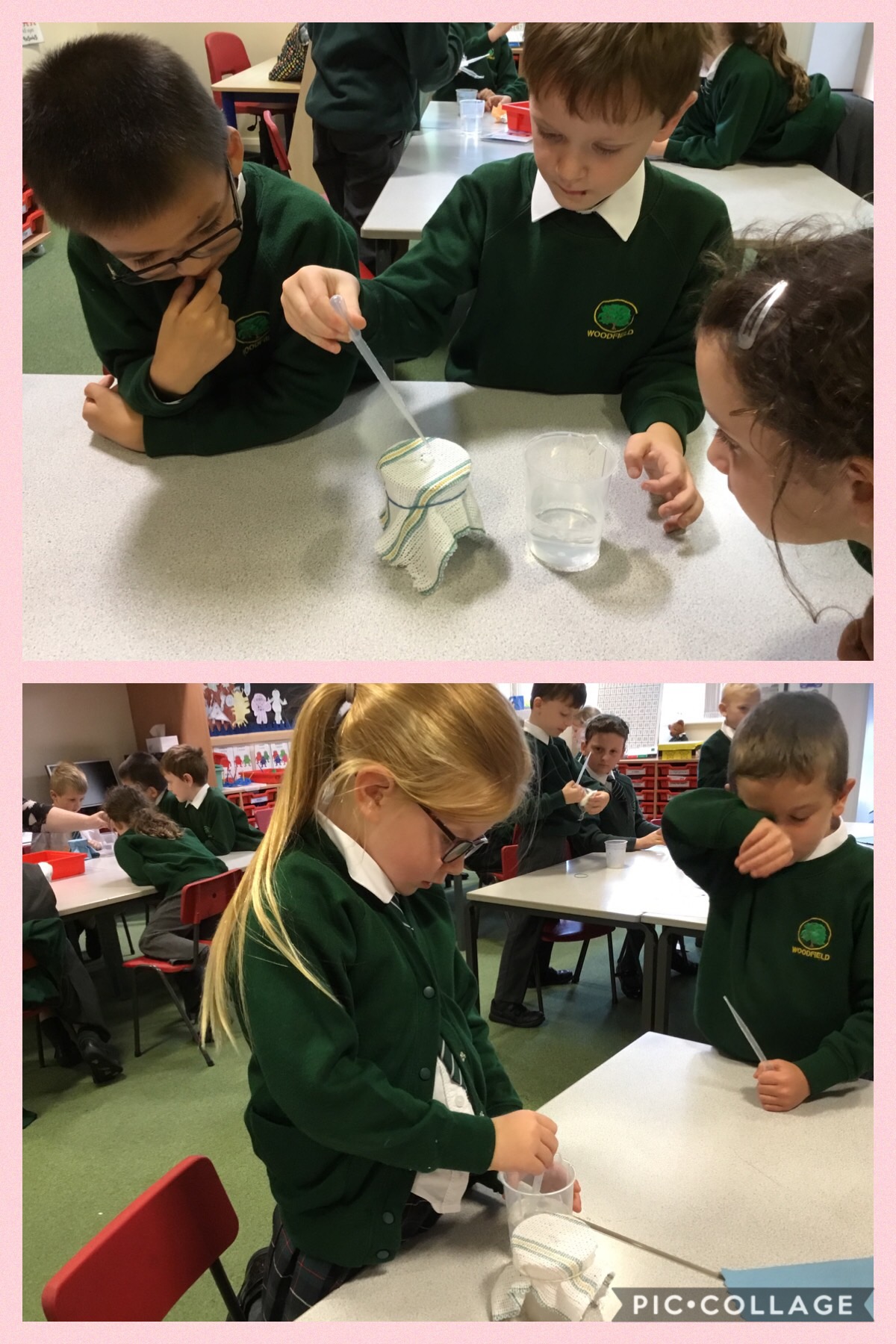 Science Investigation – Waterproof Materials | Year 3